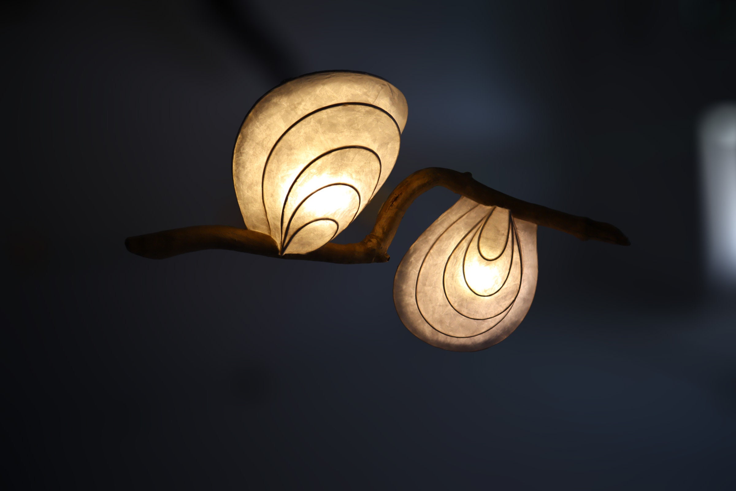 Wings of Flare Wings Sculpture Light Driftwood Ceiling - Etsy