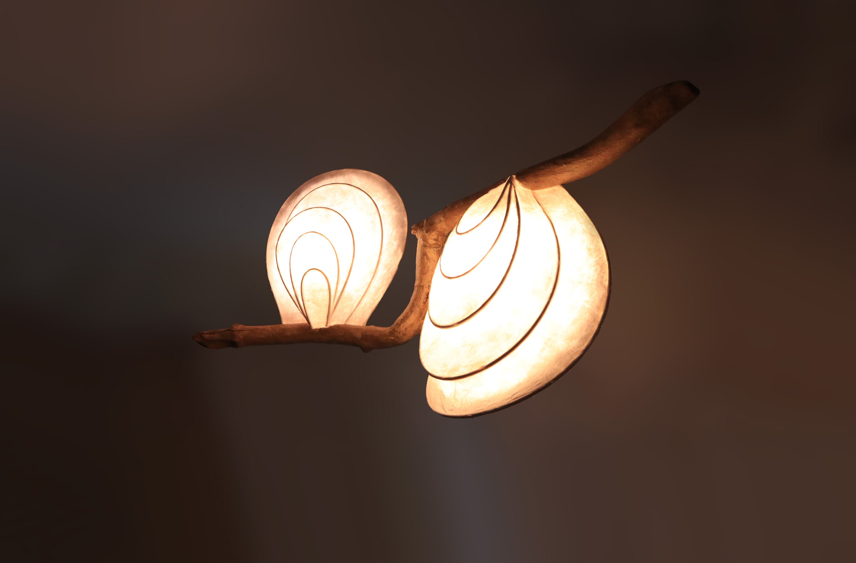 Wings of Flare Wings Sculpture Light Driftwood Ceiling - Etsy