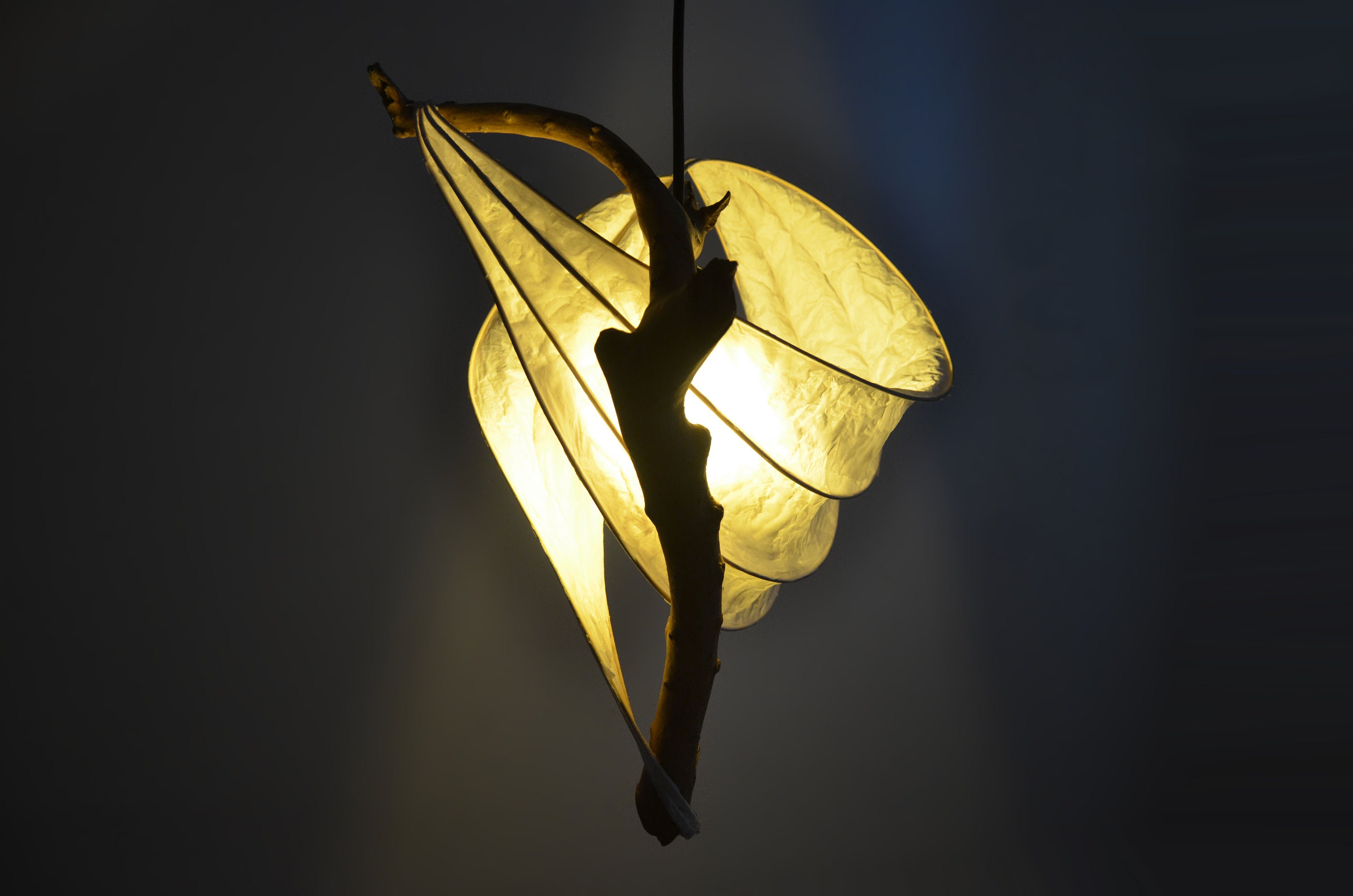 Volance Evis Flying Duck Sculpture Light Driftwood Lamp - Etsy