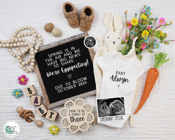 Spring is in the Air Pregnancy Announcement Digital, Spring Easter Baby ...