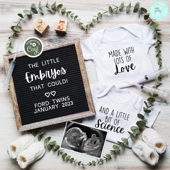 Pregnancy Announcements Twins