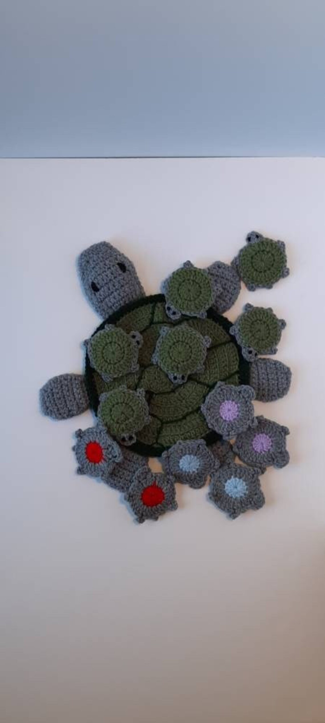 Turtle Memory Game Toy Board Game Includes Mommy Turtle and - Etsy