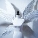 Angewomon and Angemon White Wings for Cosplay Digimon Angel Wings Full ...