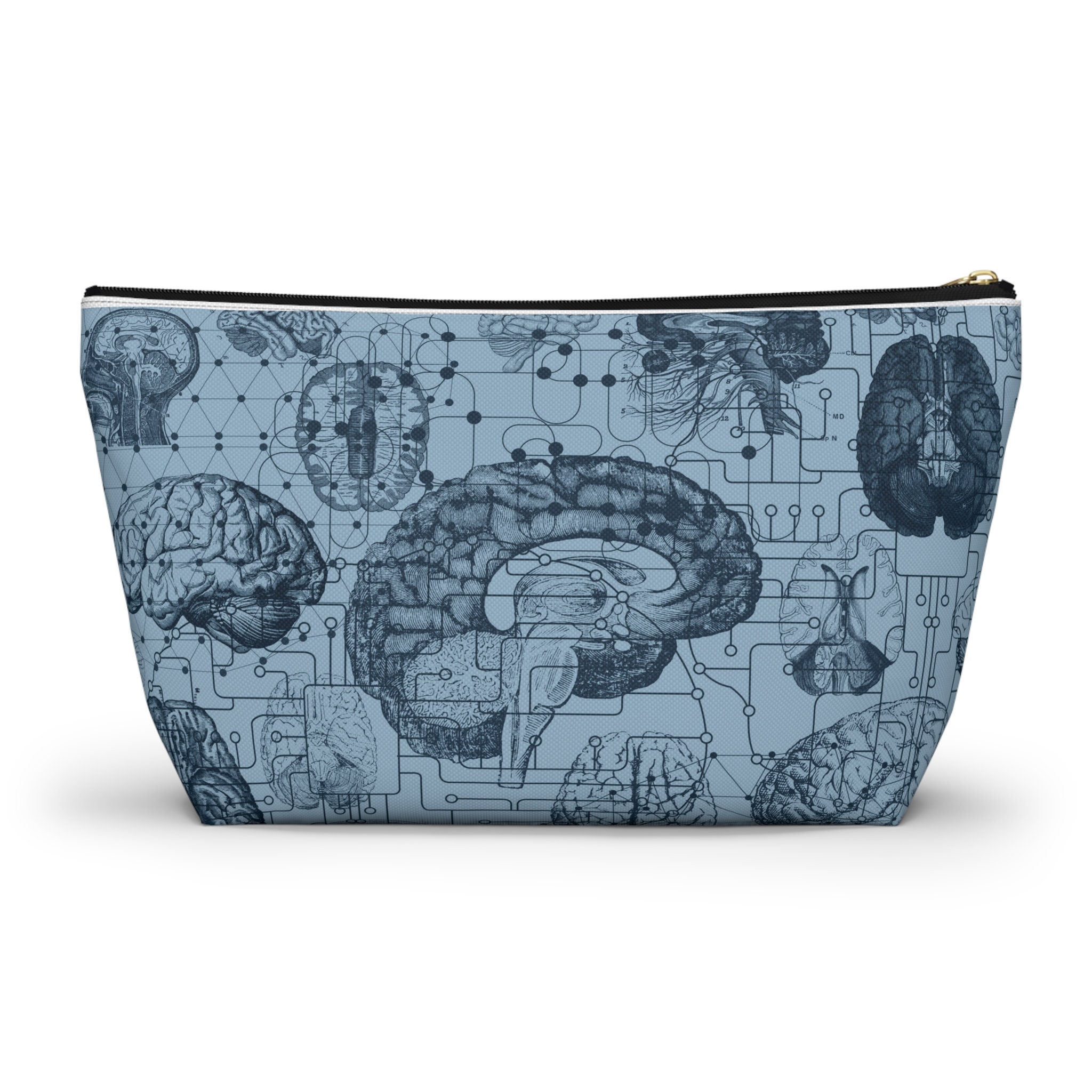 Brain Anatomy Pencil Case Blue - Etsy