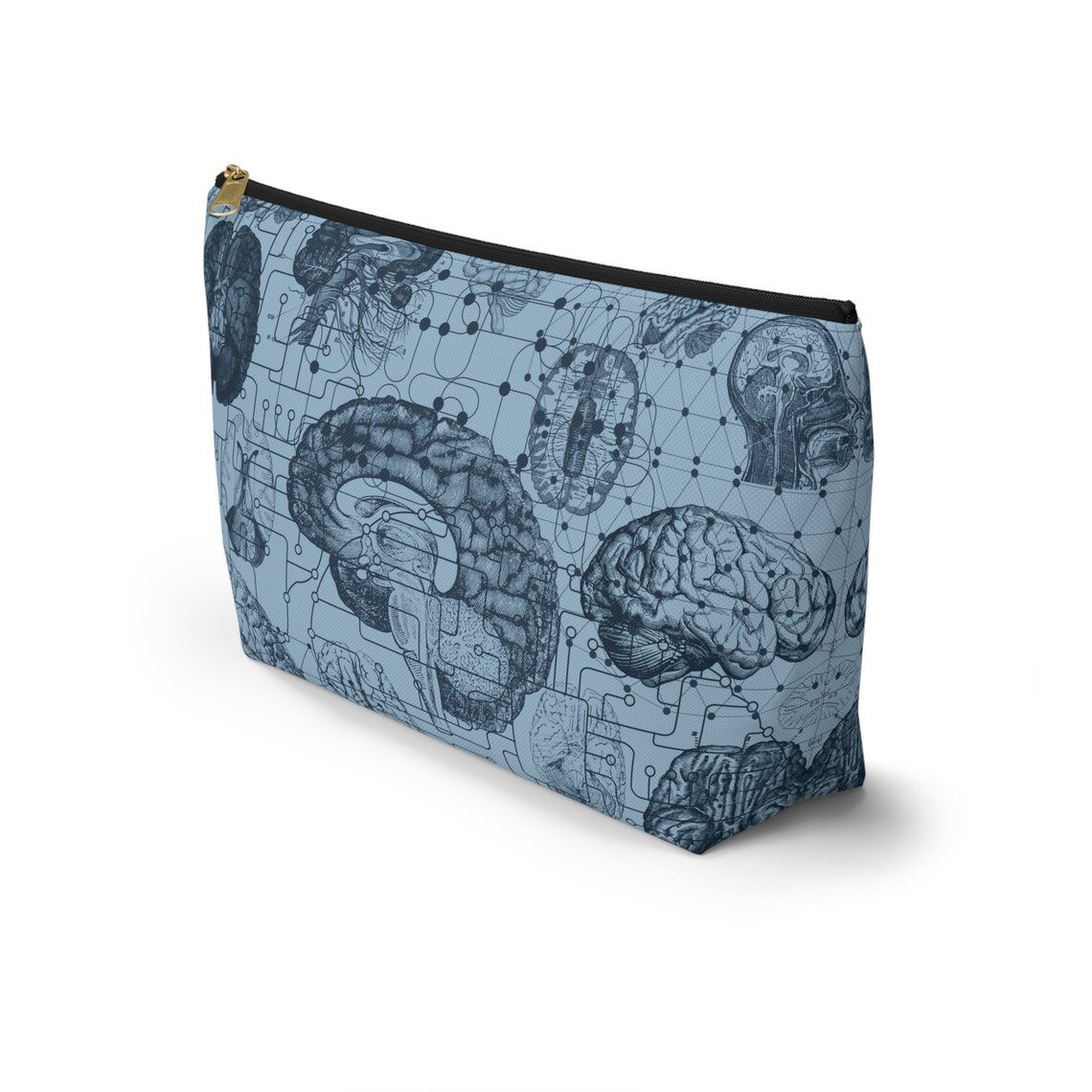 Brain Anatomy Pencil Case Blue - Etsy