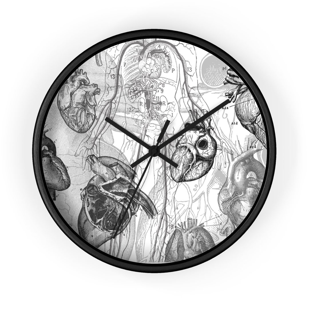 Heart Anatomy Clock - Etsy