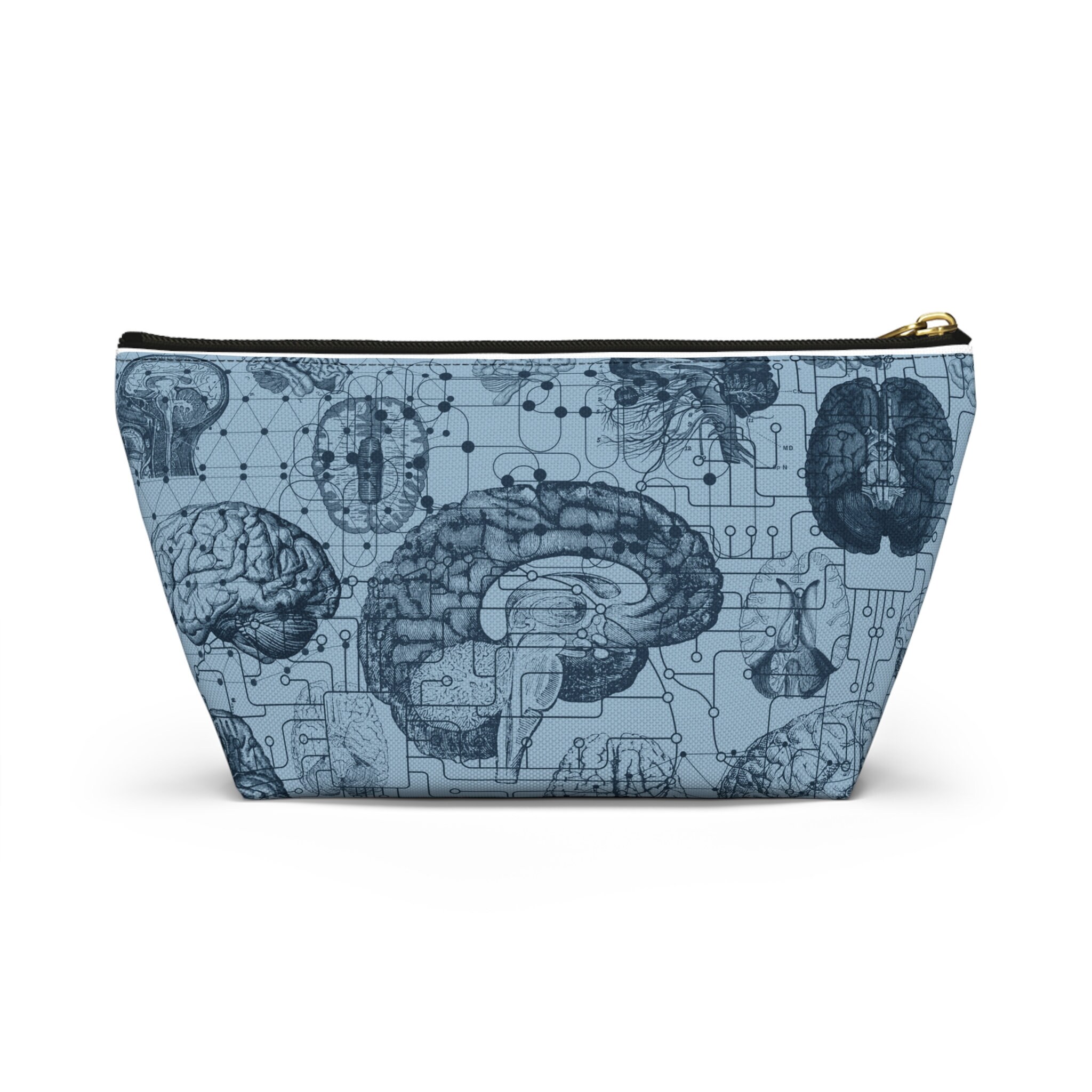 Brain Anatomy Pencil Case Blue - Etsy