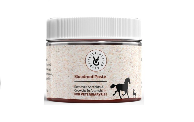 Bloodroot Paste Sarcoid Paste for Equine Sarcoid Removal in - Etsy ... Bloodroot Paste Sarcoid Paste for Equine Sarcoid Removal in - Etsy ...