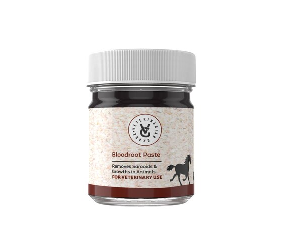 Bloodroot Paste Sarcoid Paste for Equine Sarcoid Removal in - Etsy ... Bloodroot Paste Sarcoid Paste for Equine Sarcoid Removal in - Etsy ...