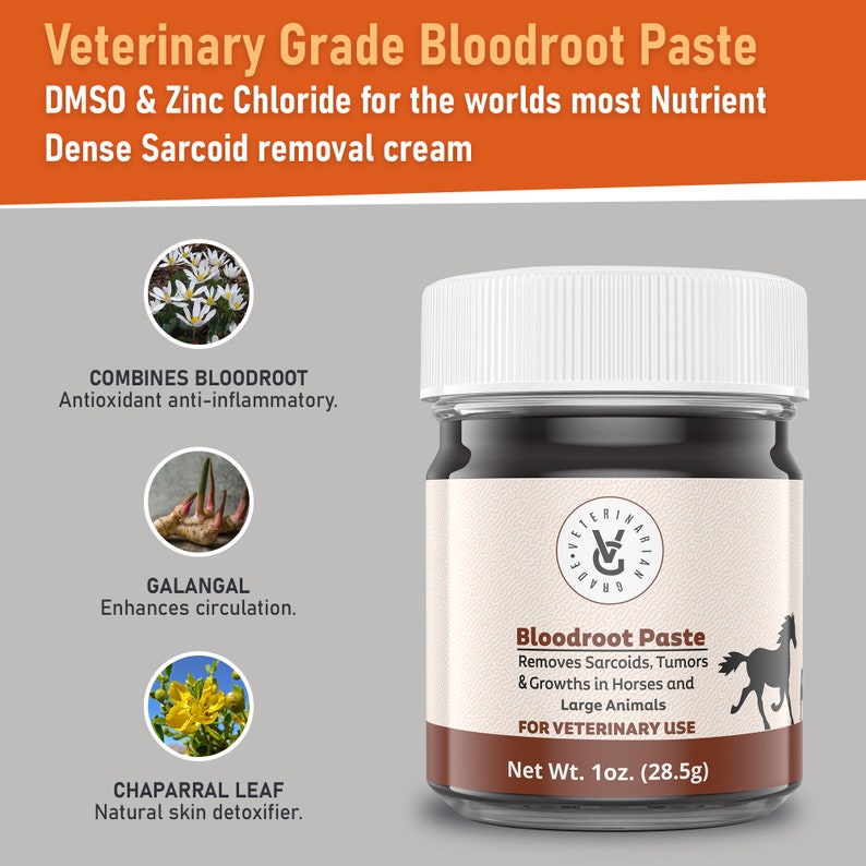 Bloodroot Paste Sarcoid Paste for Equine Sarcoid Removal in - Etsy Bloodroot Paste Sarcoid Paste for Equine Sarcoid Removal in - Etsy