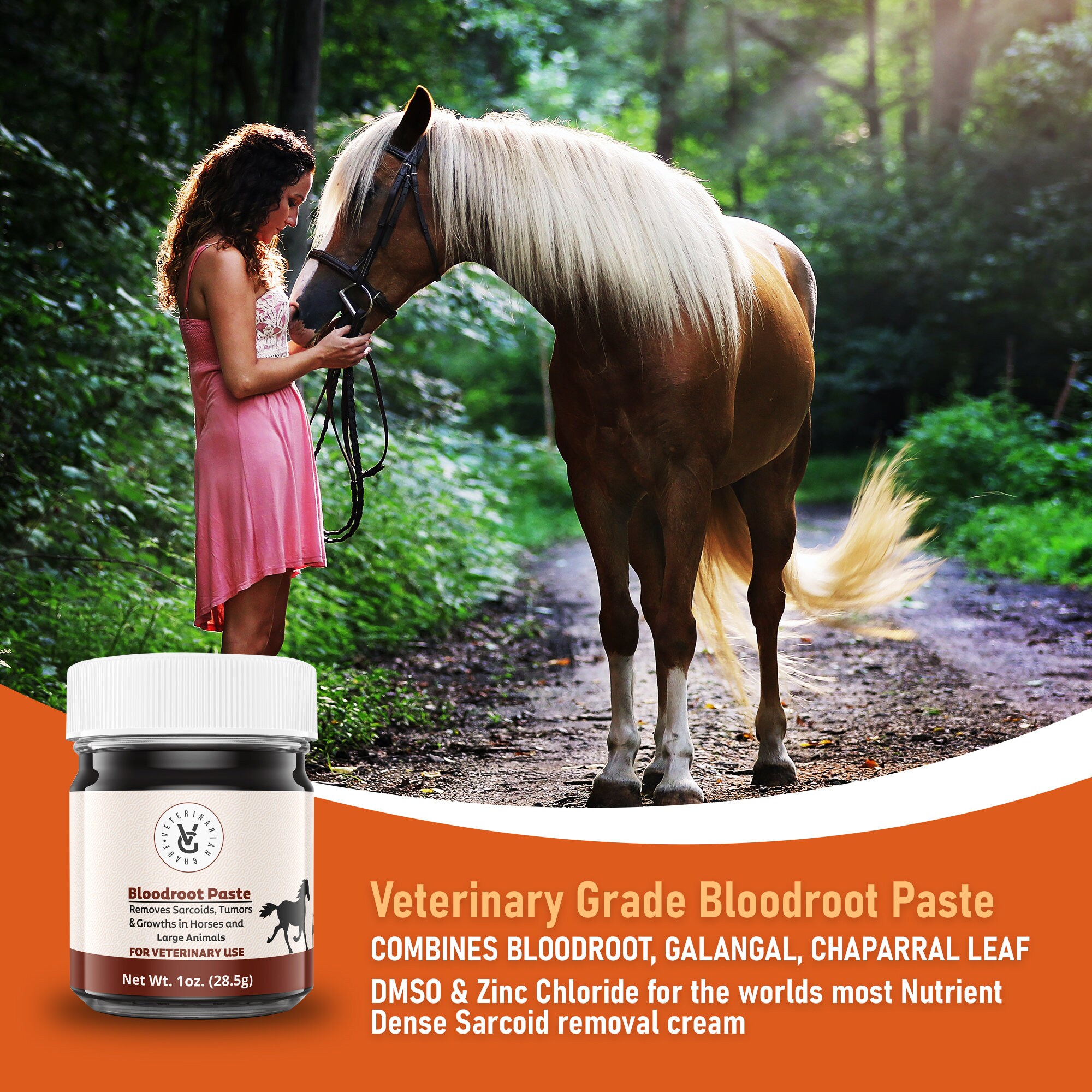 Bloodroot Paste Sarcoid Paste for Equine Sarcoid Removal in - Etsy ... Bloodroot Paste Sarcoid Paste for Equine Sarcoid Removal in - Etsy ...