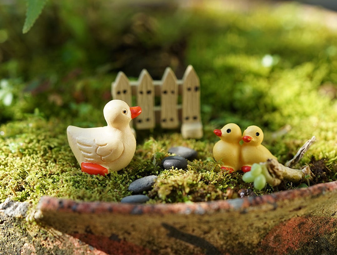 Set of 3 PCS Miniature Tiny Ducks and Fence , Miniature Gardening ...