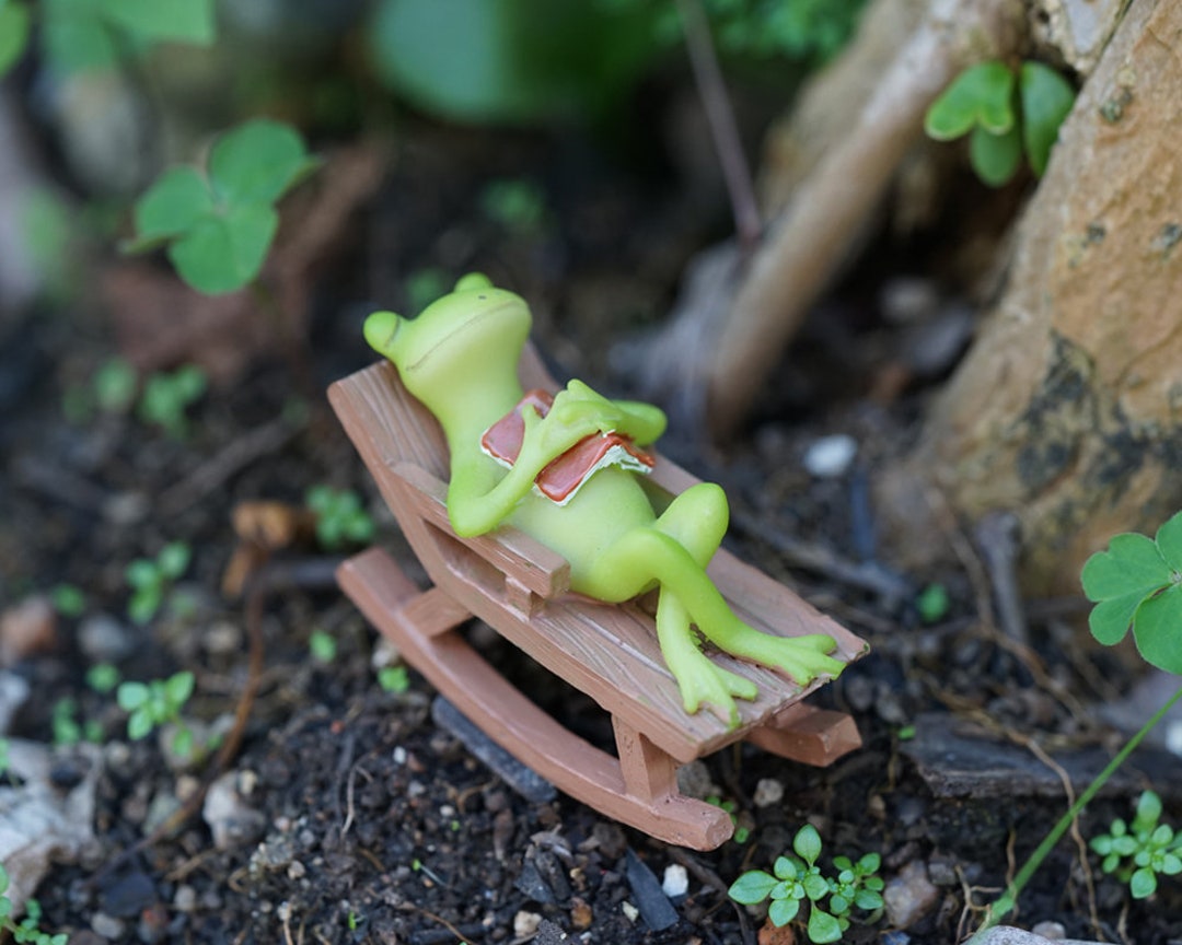 Fairy Garden Accessories Tiny Frog Sleep on Chair Holding Book Animal Figurine , Miniature ...