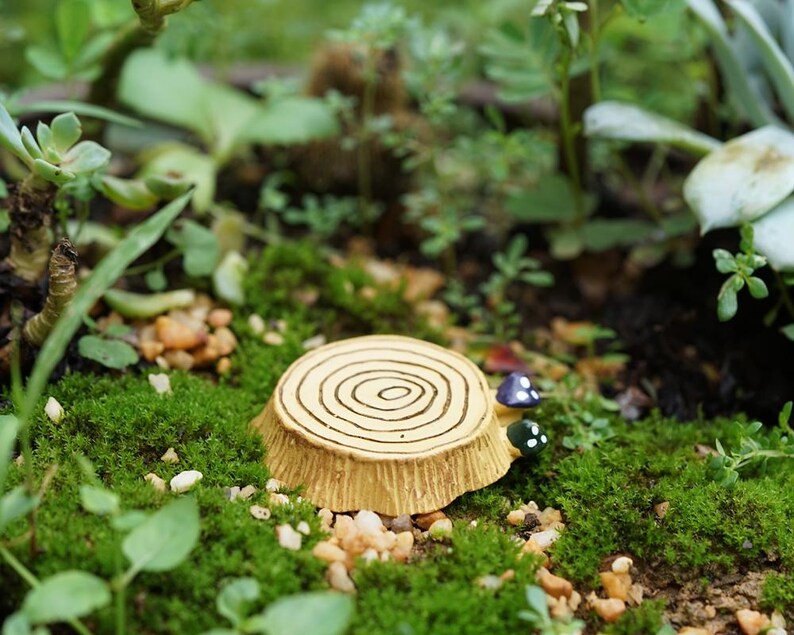 Miniature Small Frogs Play Guitar and Violin Miniature Fairy Garden ...