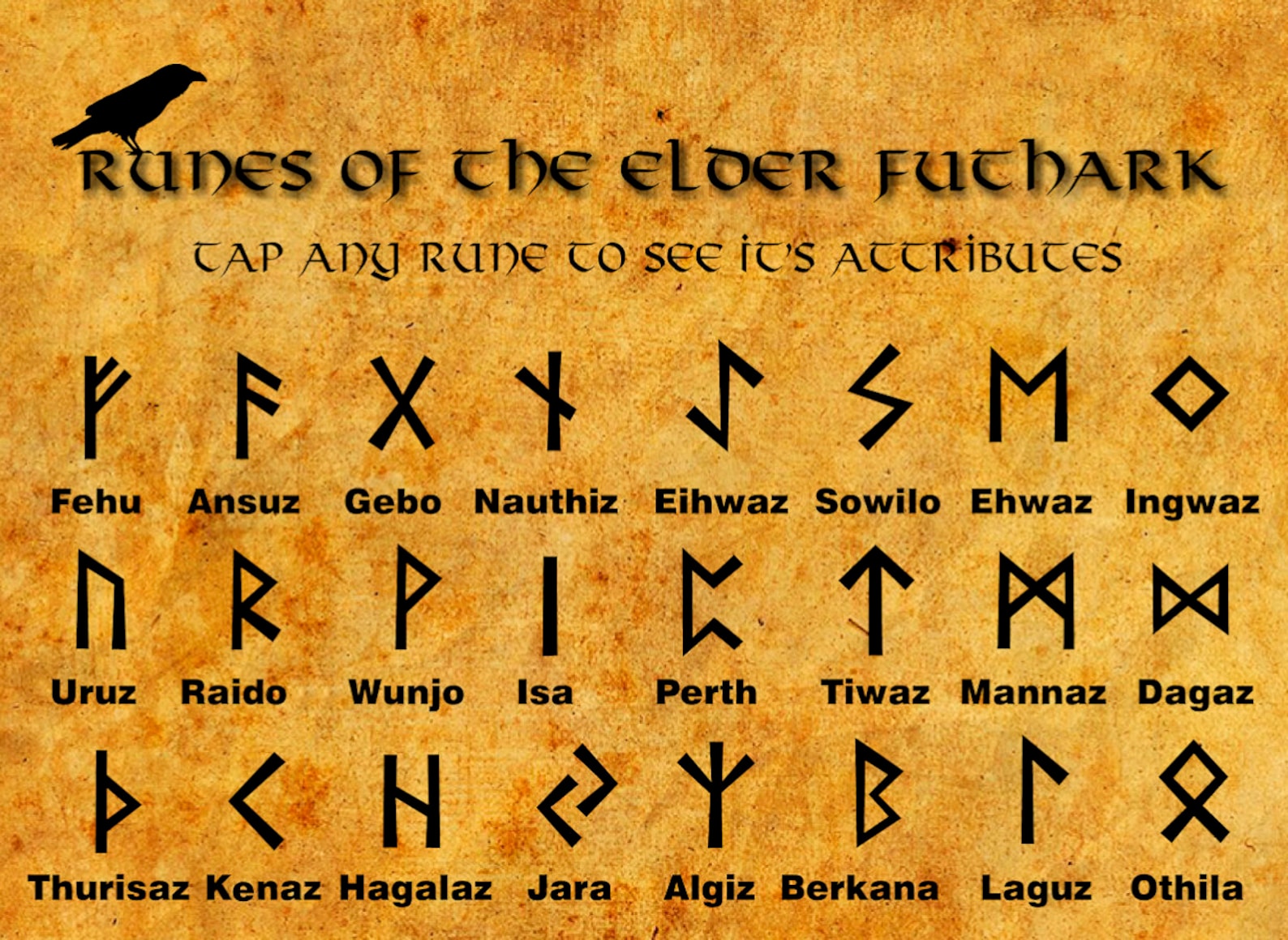 Rune Ash Amulet Talisman Necklace Carving Elder Futhark Pagan | Etsy