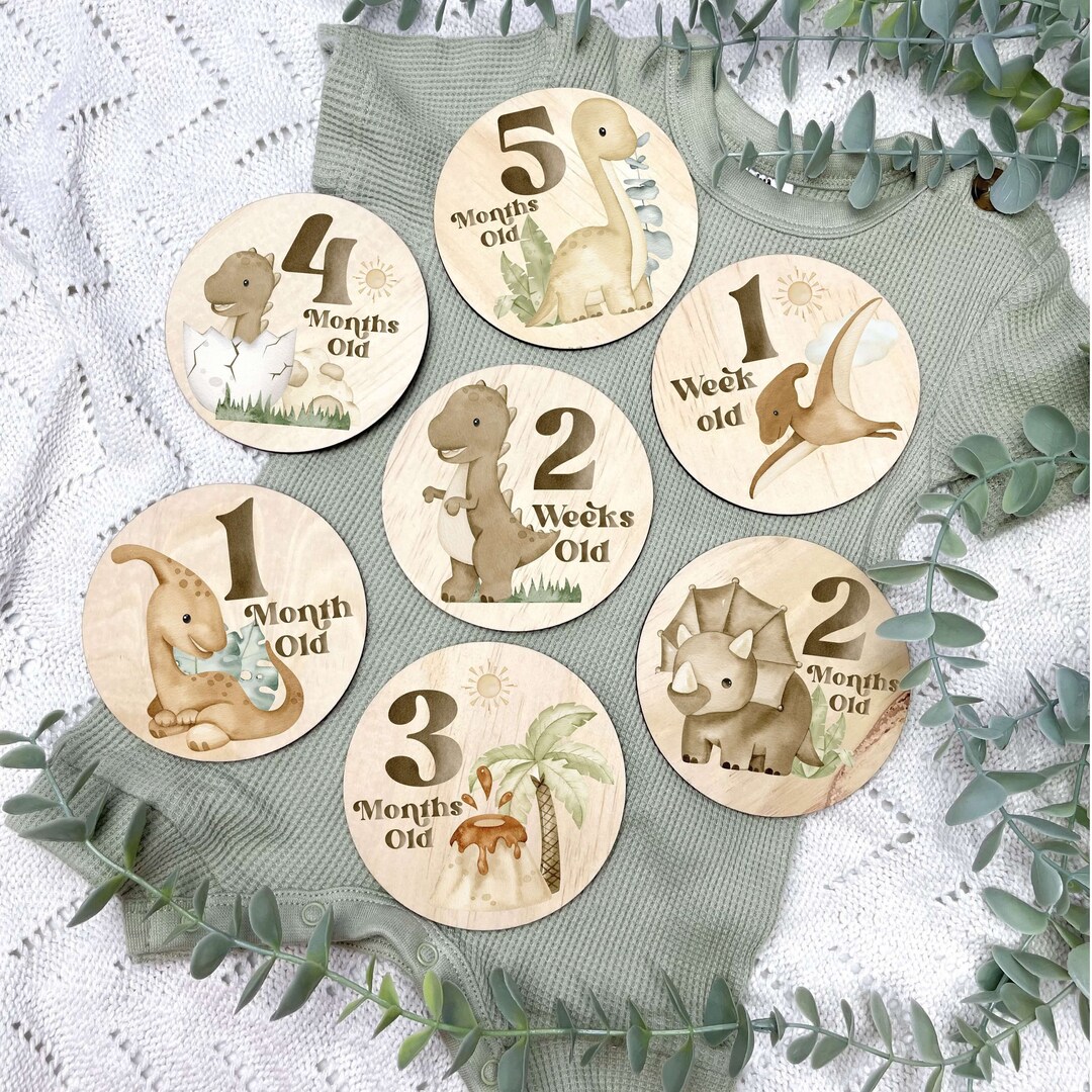 Dinosaurs Milestones, Newborn Milestone Discs, Baby Milestone Cards ...