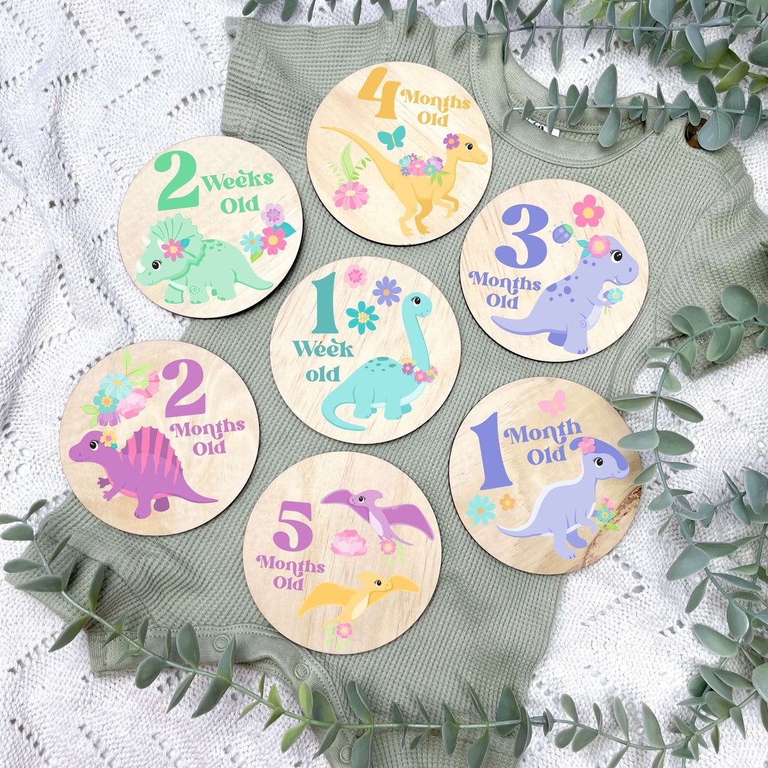 Dinosaurs Milestone Discs, Newborn Milestone Discs, Baby Milestone ...