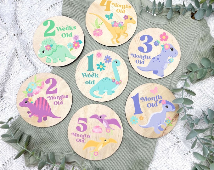 Dinosaur Milestone Cards, Baby Milestone Dinosaur Discs Marker, Wood ...