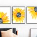 Watercolor Sunflower Print Set of 3 Posters Yellow Flowers 3 - Etsy