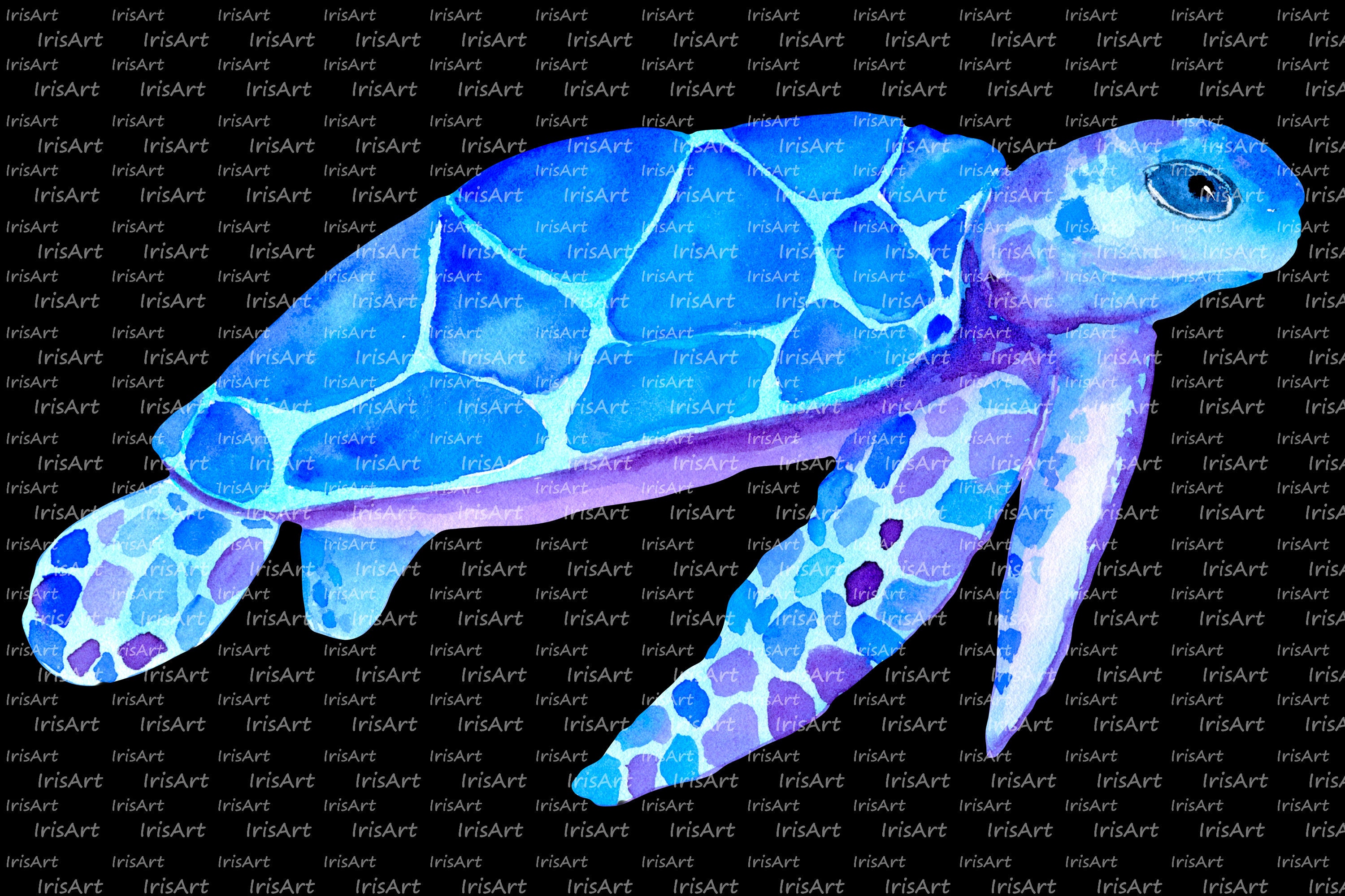 Sea Turtle Sublimation Design Watercolor Animals Art - Etsy