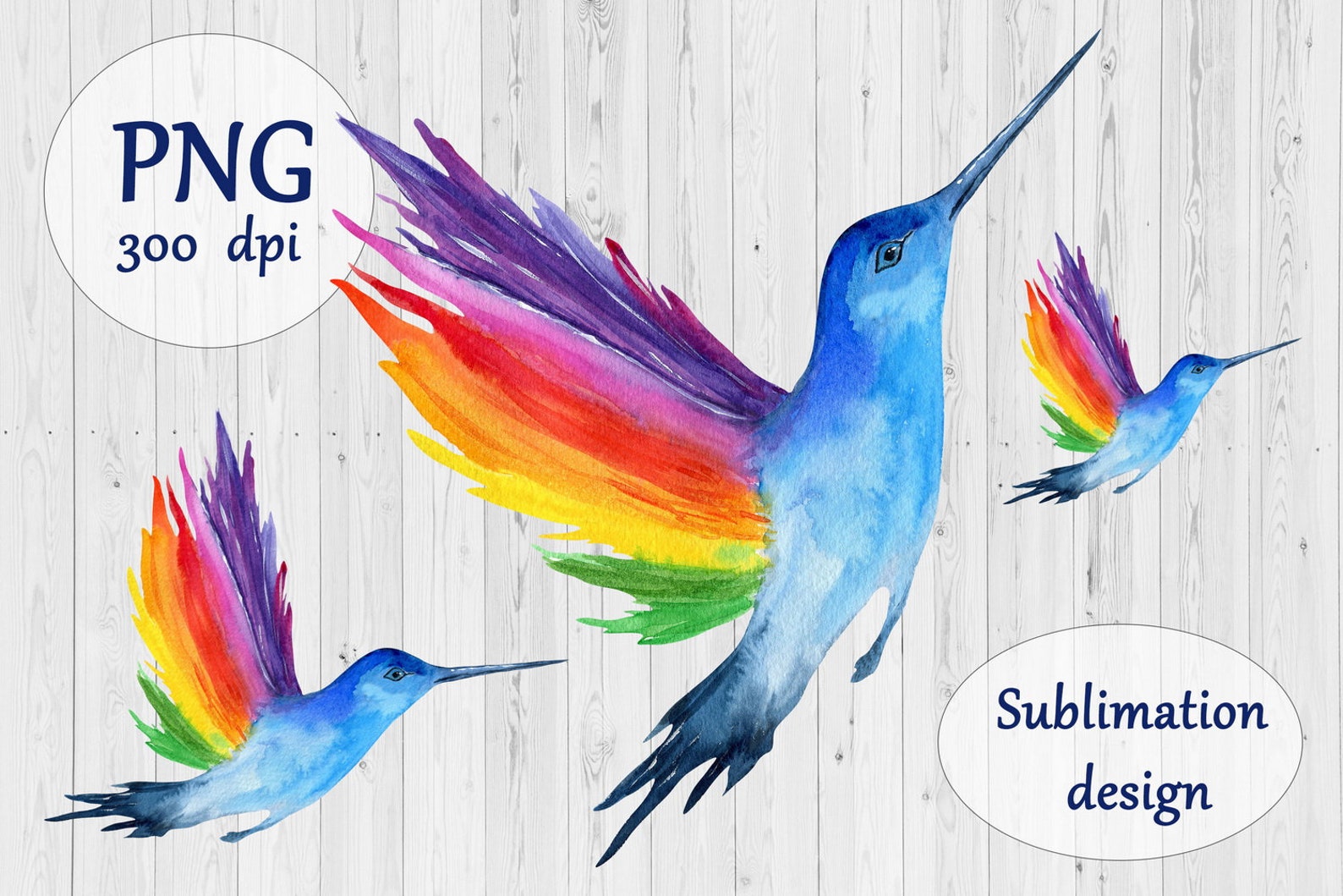Hummingbird Art Sublimation Design PNG Watercolor Rainbow - Etsy