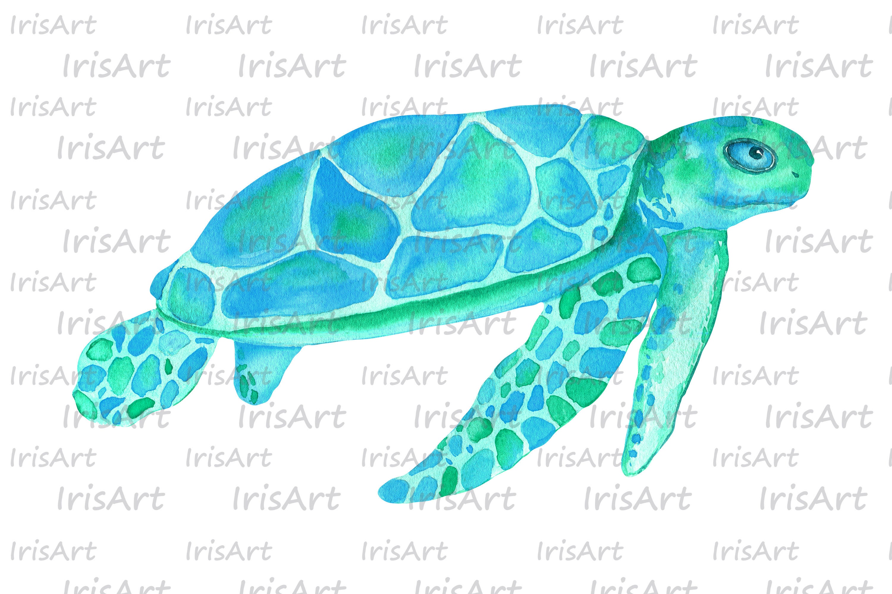 Sea Turtle Sublimation Design Watercolor Animals Art - Etsy