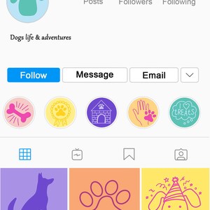 Dog Instagram Highlight Icons, Bright Colorful Icons, Highlight Covers ...