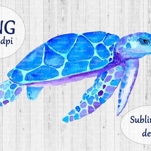 Sea Turtle Sublimation Design Watercolor Animals Art - Etsy