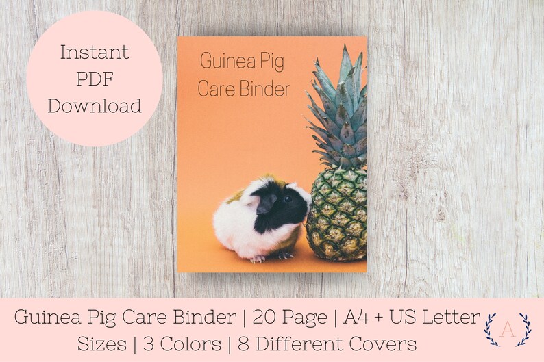 Guinea Pig Care Binder / PDF Download / Planner / US Letter / A4 ...
