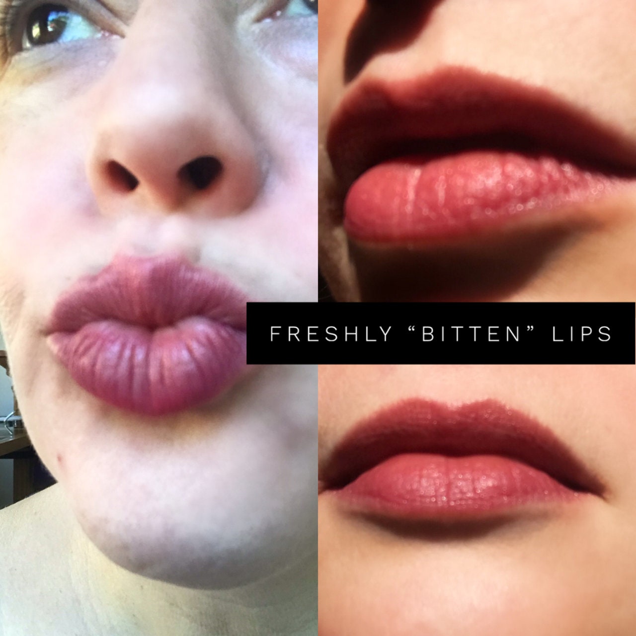 Full Tube of Lipstick Berry Color Collection All - Etsy