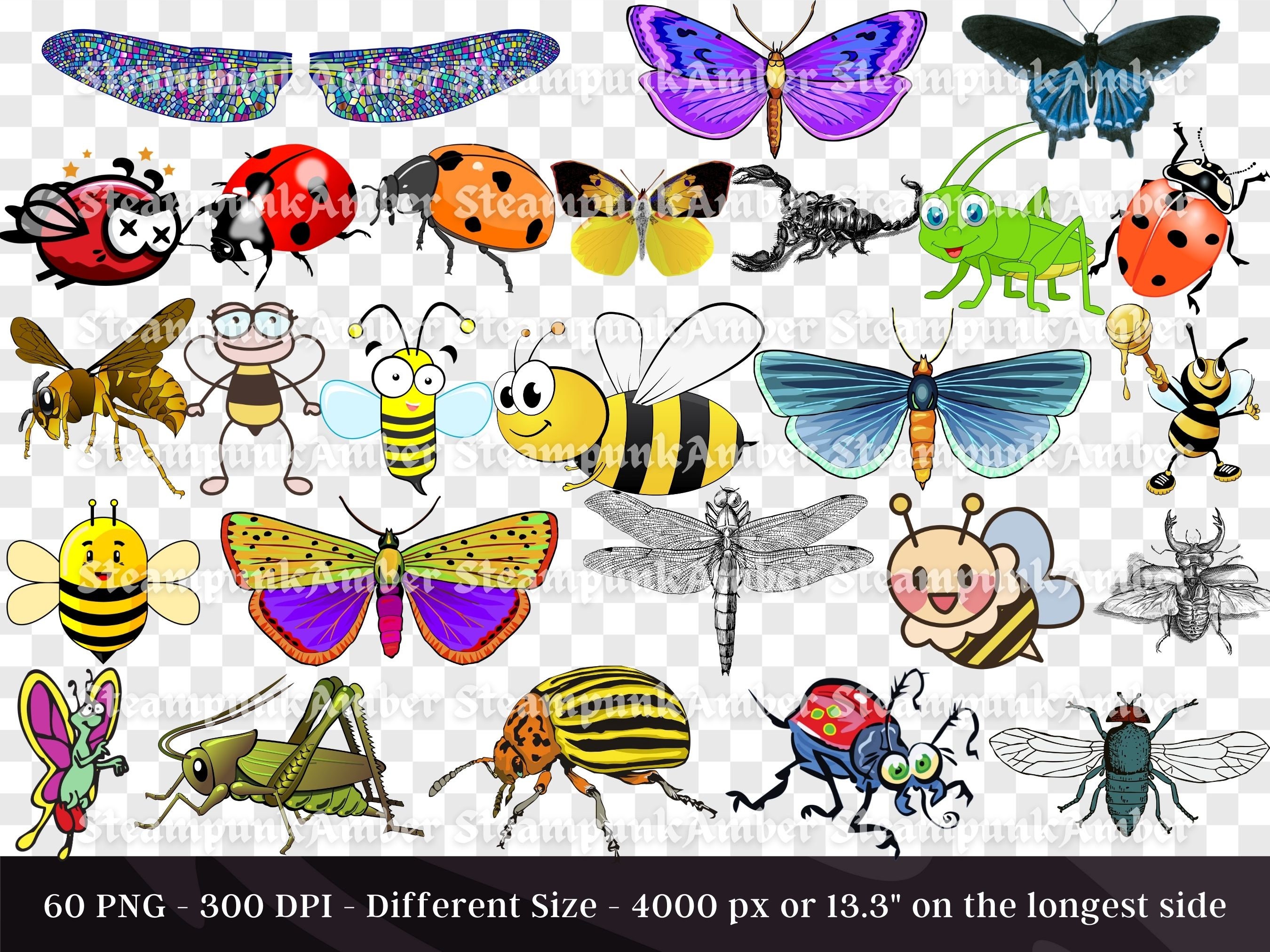 Insect Clipart 60 PNG Bundle Beetle Clipart Bug Silhouette - Etsy