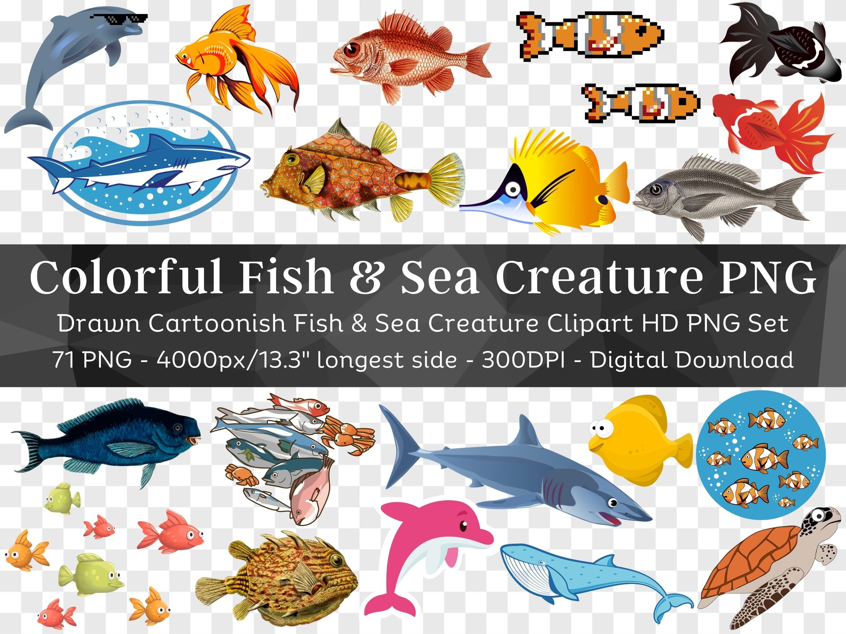 Fish Sea Creature PNG Bundle| Clipart Silhouette PNG| Shark, Dolphin ...