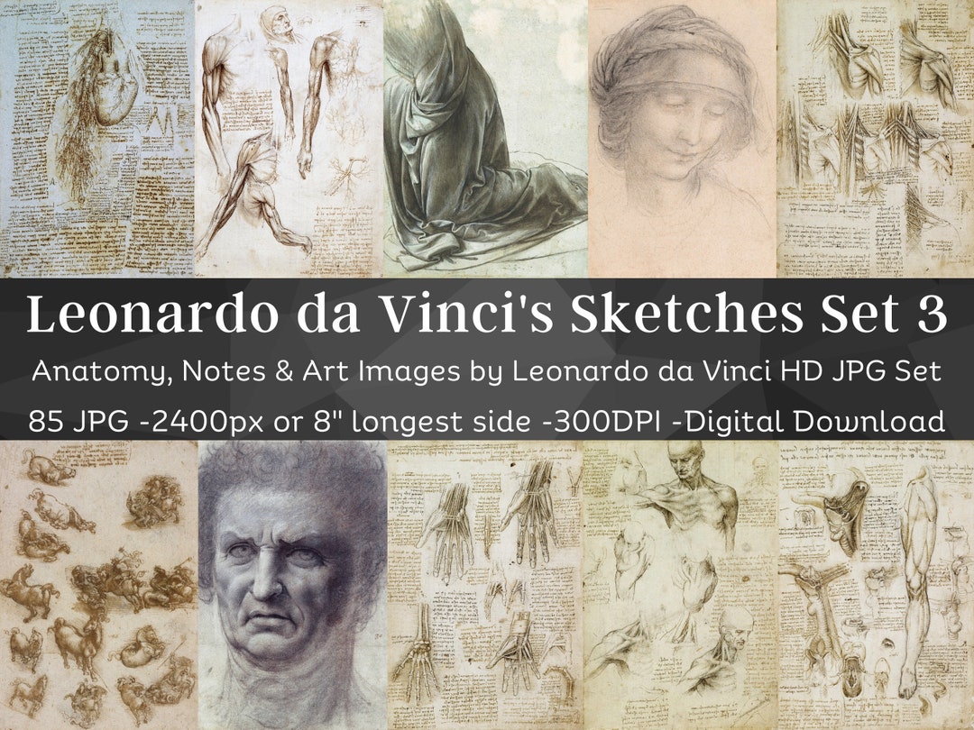 Leonardo Da Vinci Manuscript Notes 85 Digital Image Bundle 3 | Vintage ...