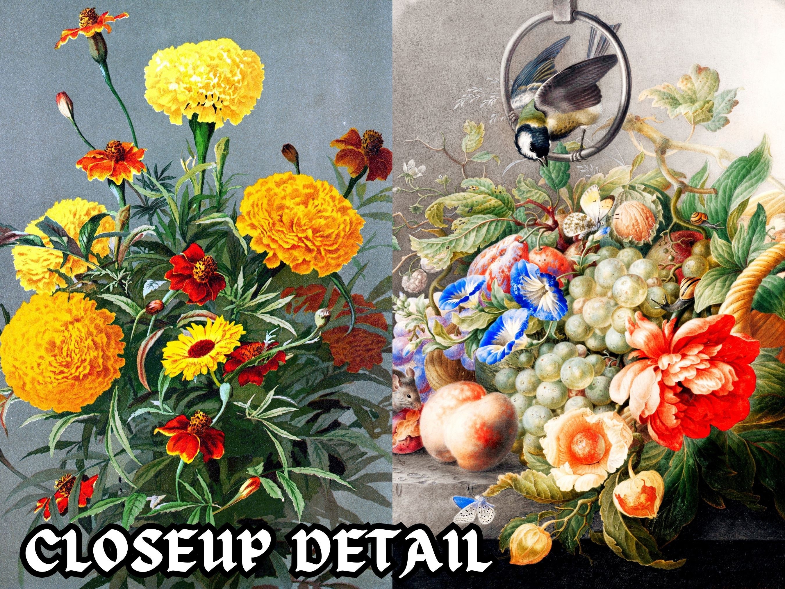 Still Life Flowers | Famous Flower Art Prints | 24 HQ Floral Gallery ...