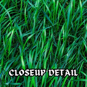 Digital Grass & Lawn Texture | 22 Digital Grass Paper | Scrapbook ...