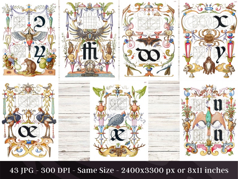 Wonderful Monuments of Calligraphy Image Bundle | 43 Medieval Letters ...