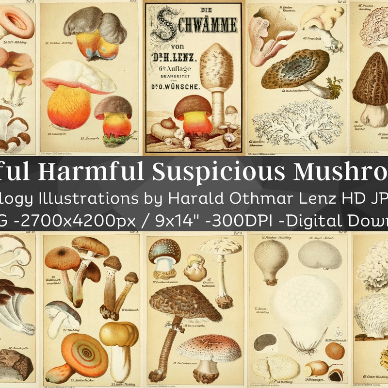 Vintage Decor Useful - Etsy