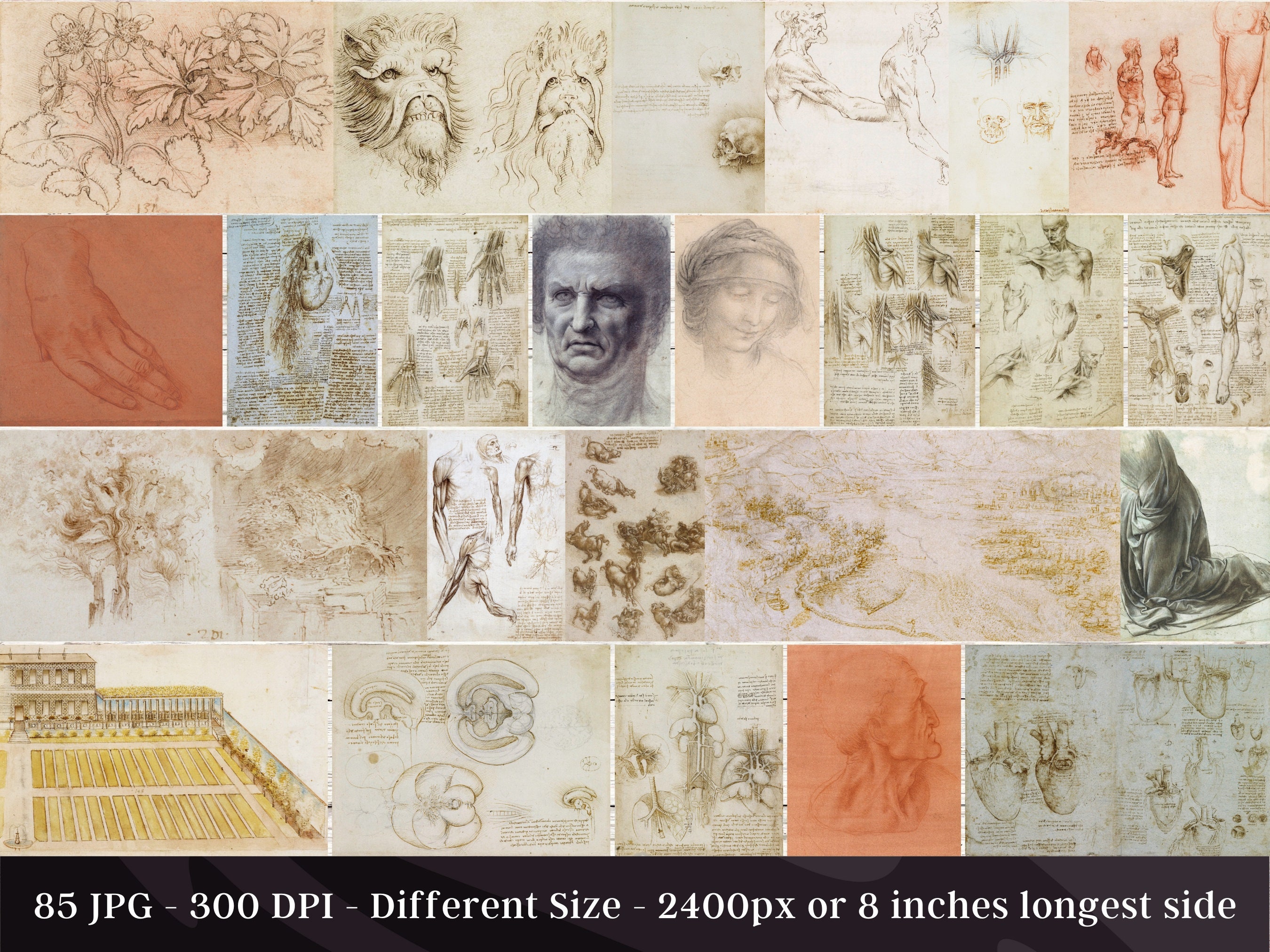 Leonardo Da Vinci Manuscript Notes 85 Digital Image Bundle 3 Vintage ...