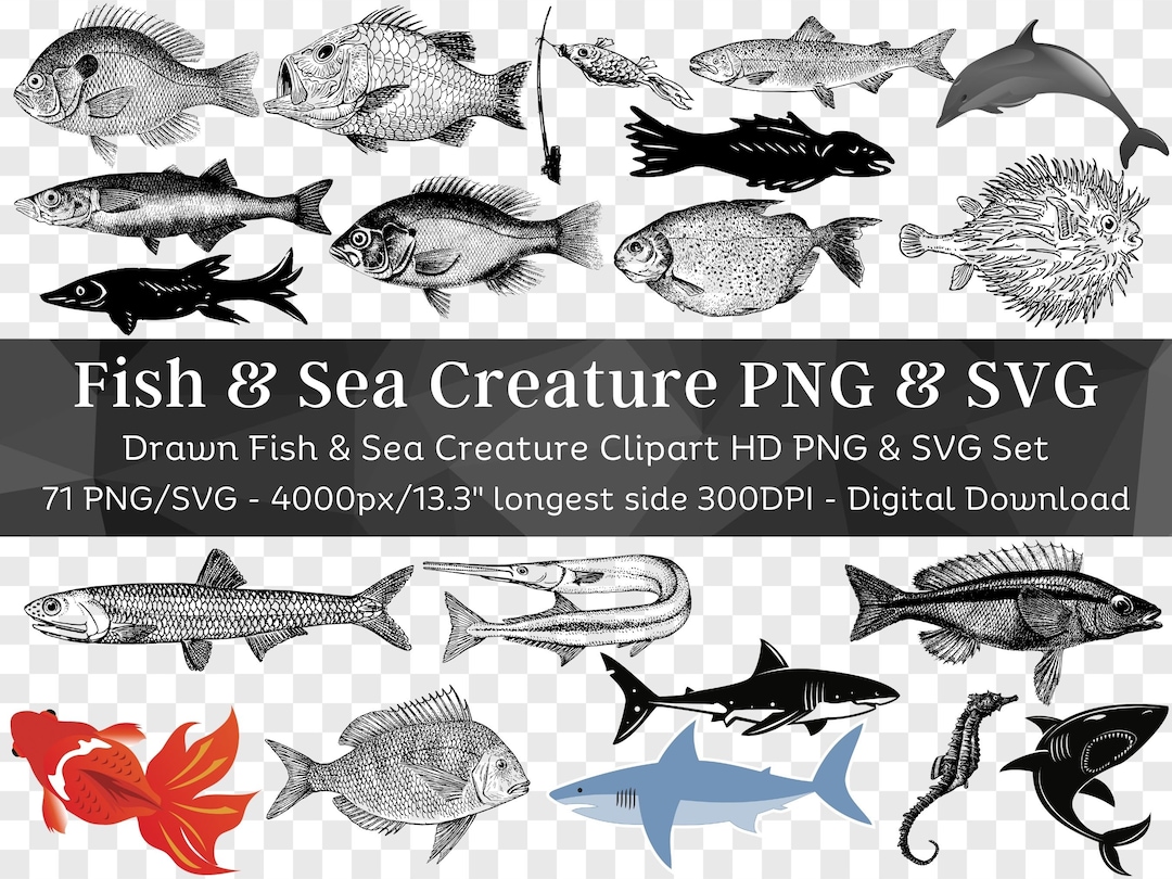 Fish Sea Creature PNG & SVG Bundle| Clipart Silhouette SVG| Shark ...