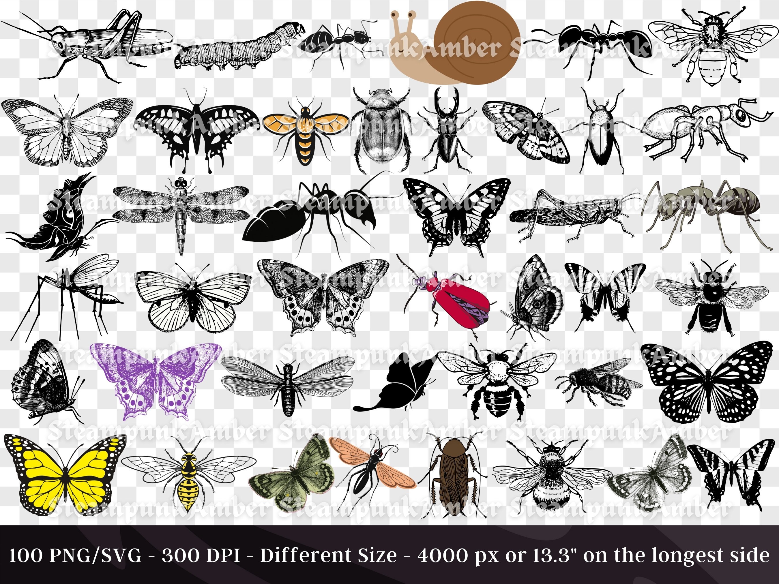 Insect Clipart 100 PNG & SVG Set Bug Silhouette Ant Bee Butterfly Fly ...