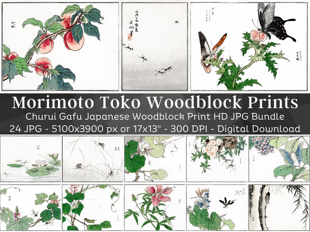 Morimoto Toko Woodblock Prints 24 HQ Digital JPG Bundle| Flower ...