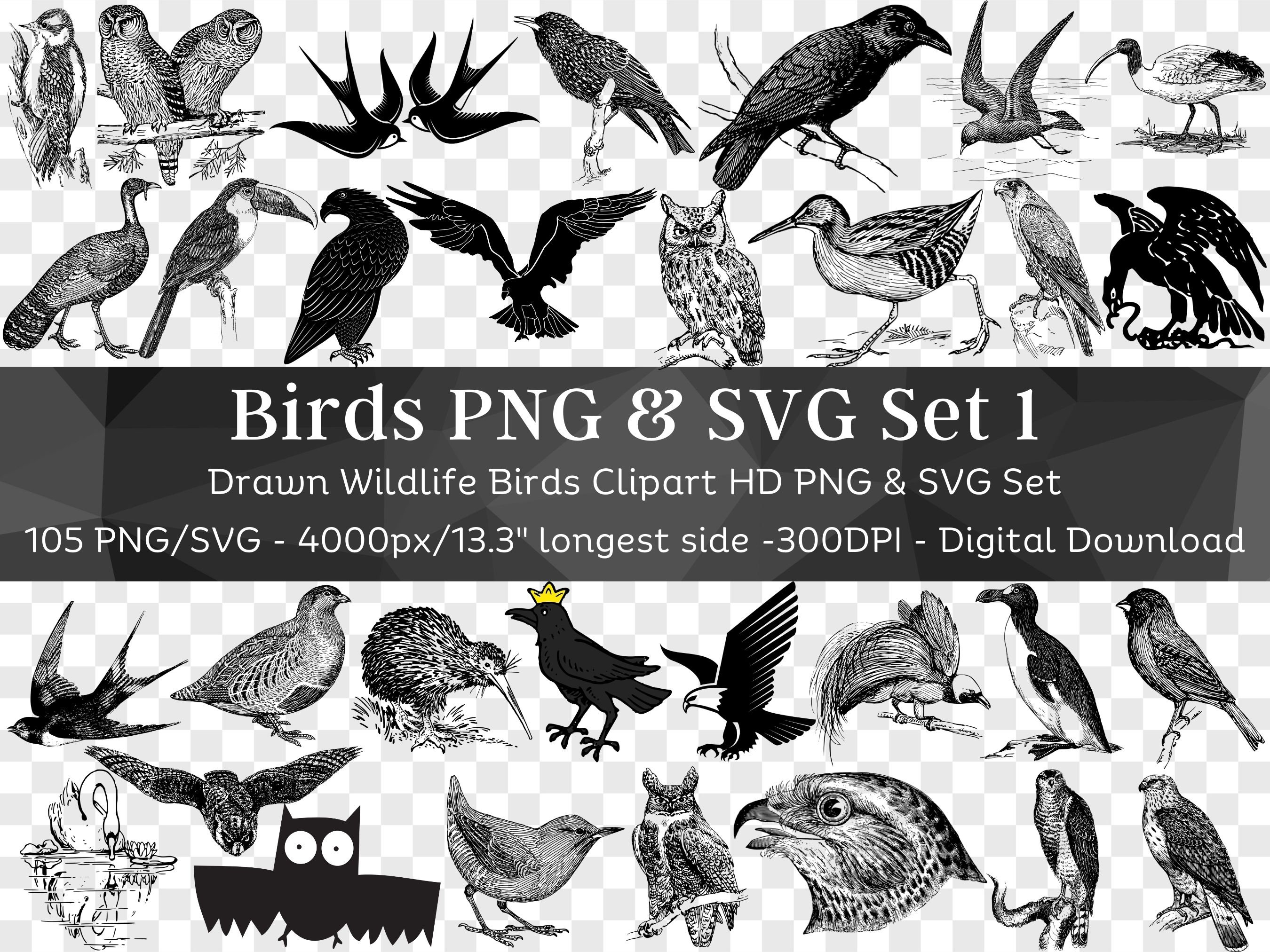 Vogel 105 PNG & SVG Bundle | Clipart Silhouette SVG | Eule Krähe ...