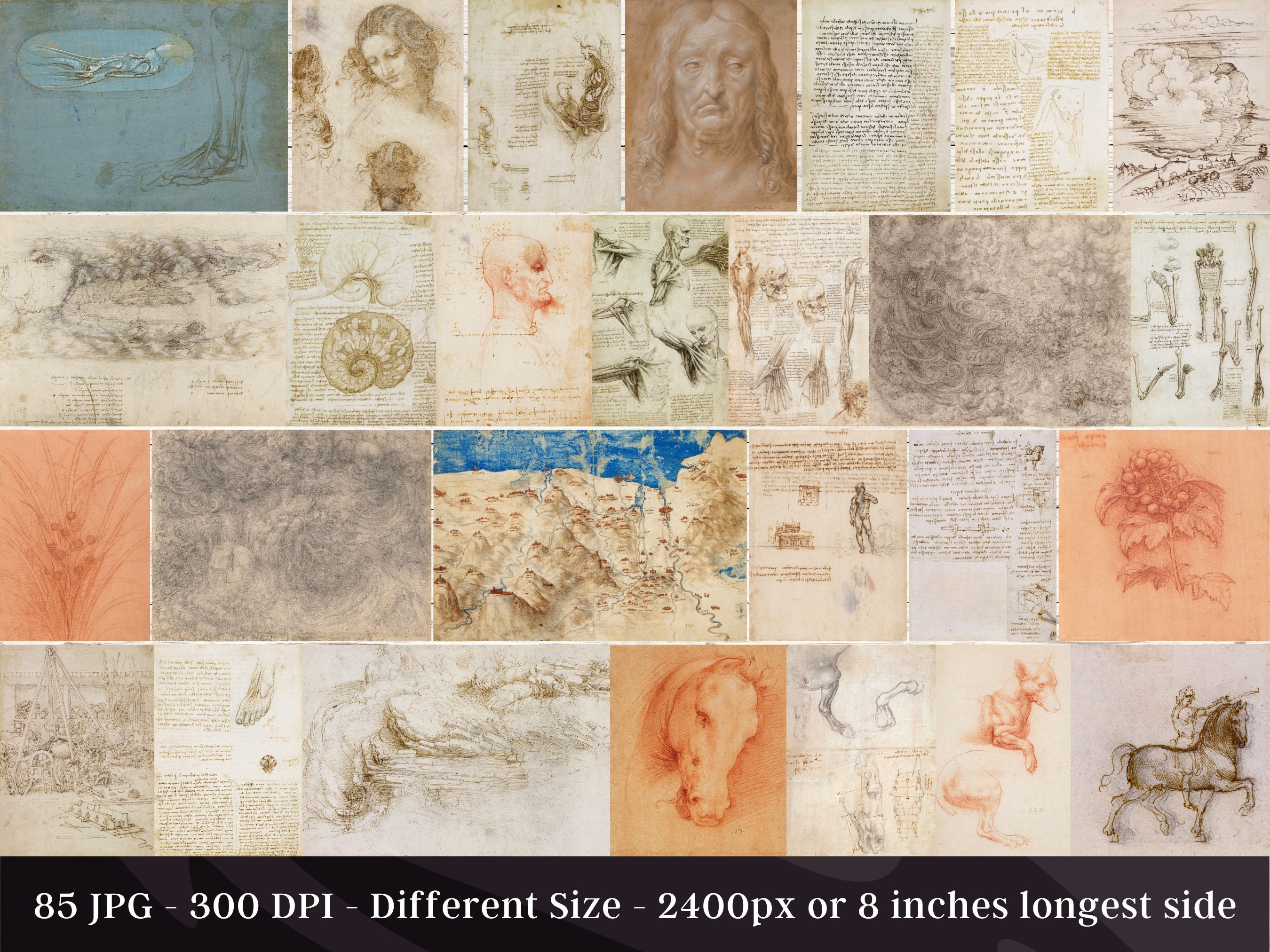 Leonardo Da Vinci Manuscript Notes 85 Digital Image Bundle 1 Vintage ...