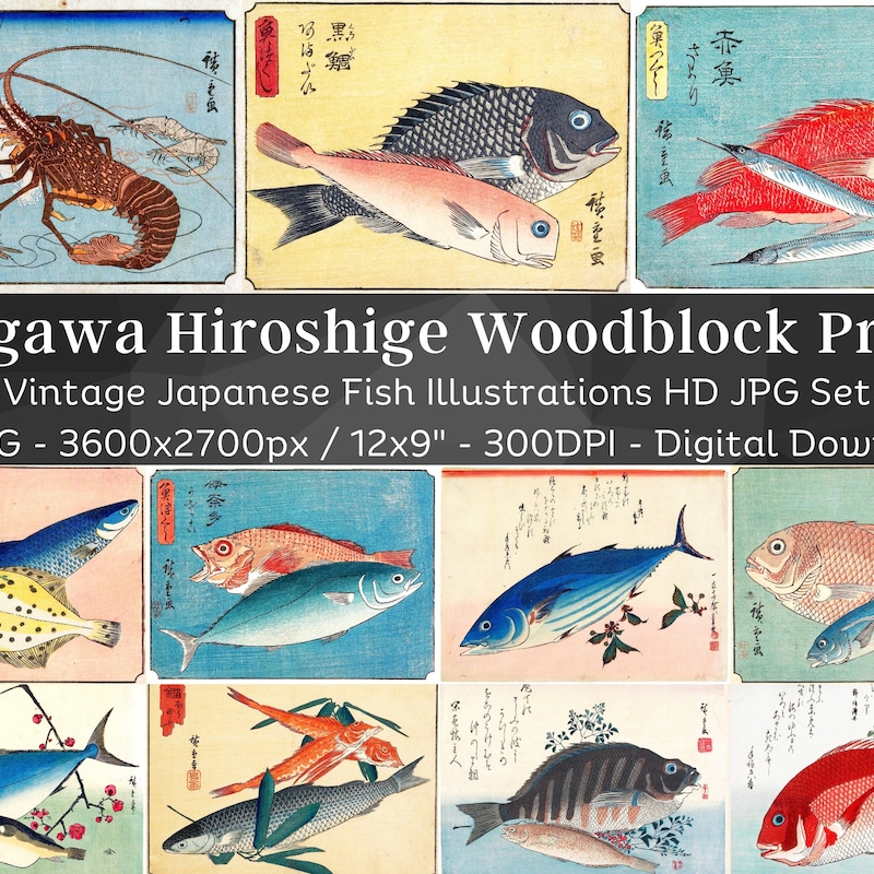 Vintage Fish Art Print Carp - Etsy