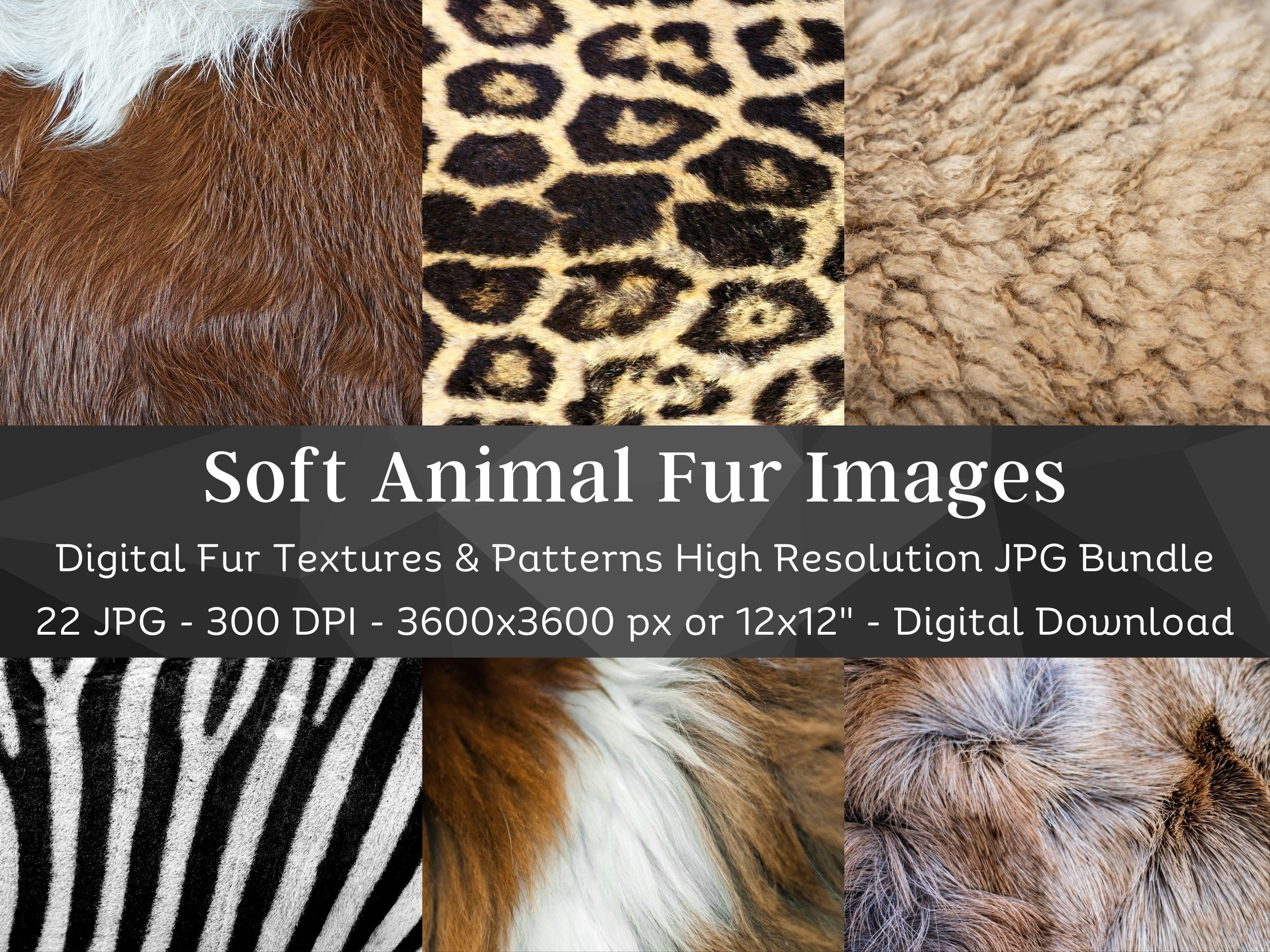 Animal Fur Textures Digital Paper Safari Fur Pelt Pattern Print 22 ...