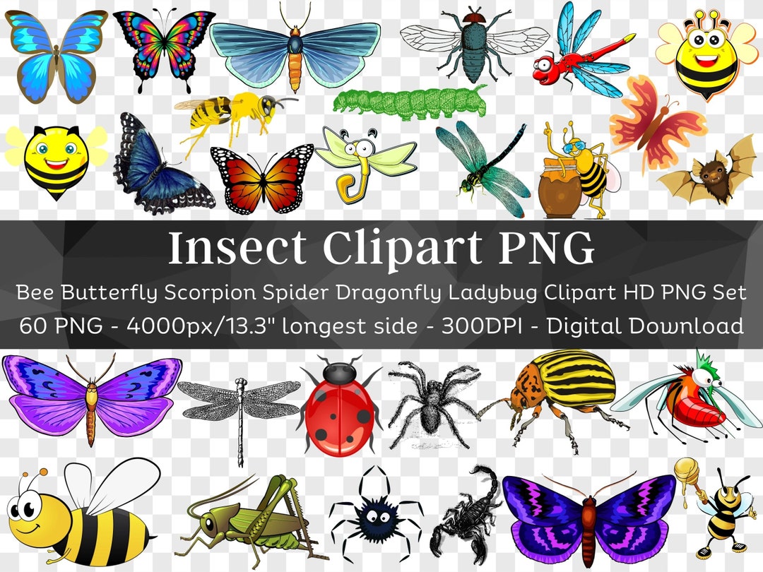 Insect Clipart 60 PNG Bundle| Beetle Clipart Bug Silhouette Dragonfly ...