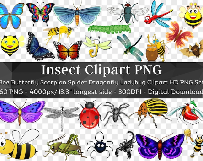 Bugs and Insects Clipart Set / Ant PNG / Cute Butterfly / Bee ...