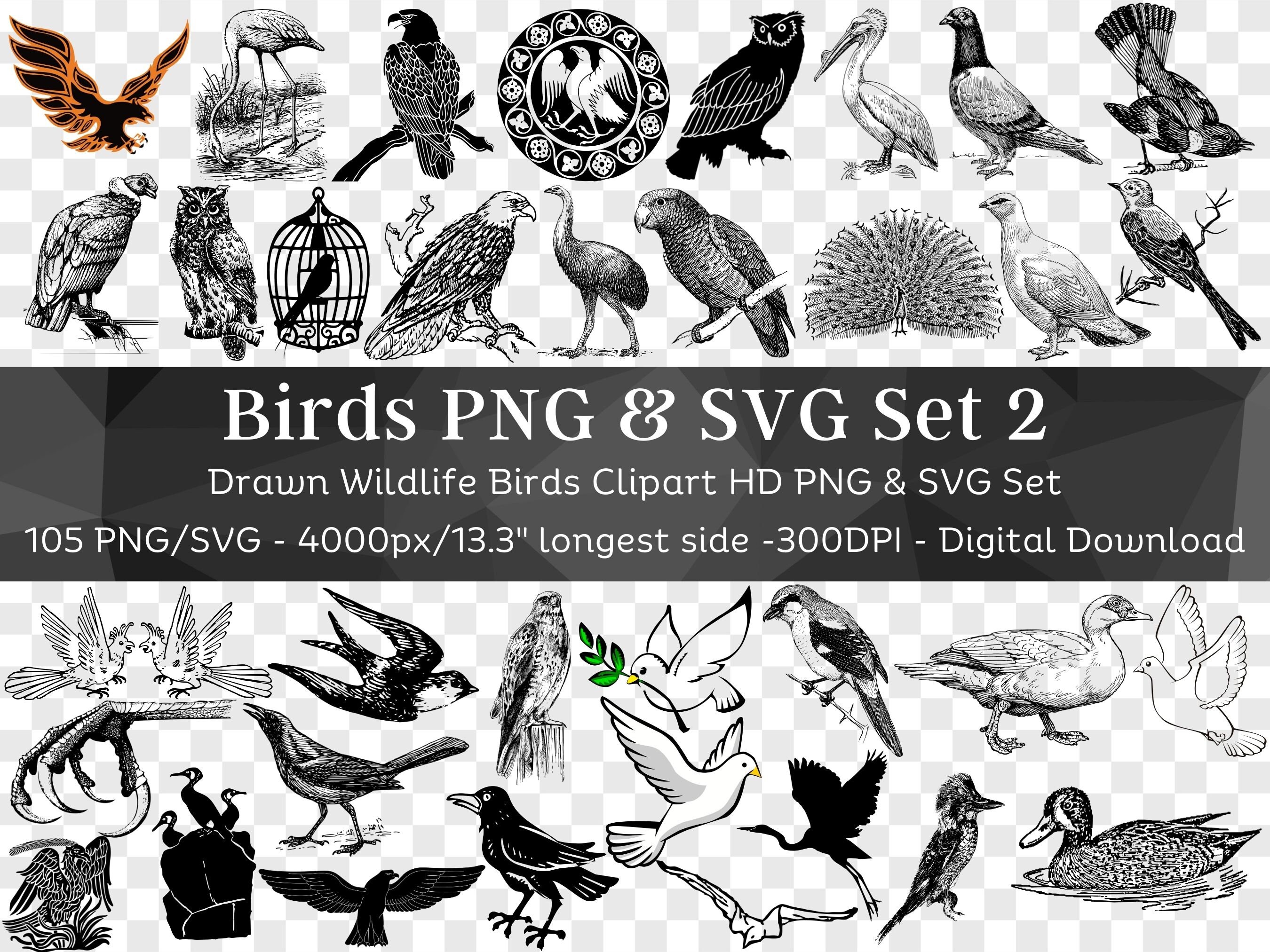 Bird 105 PNG & SVG Bundle 2 Clipart Silhouette SVG Owl Dove Eagle Emu ...