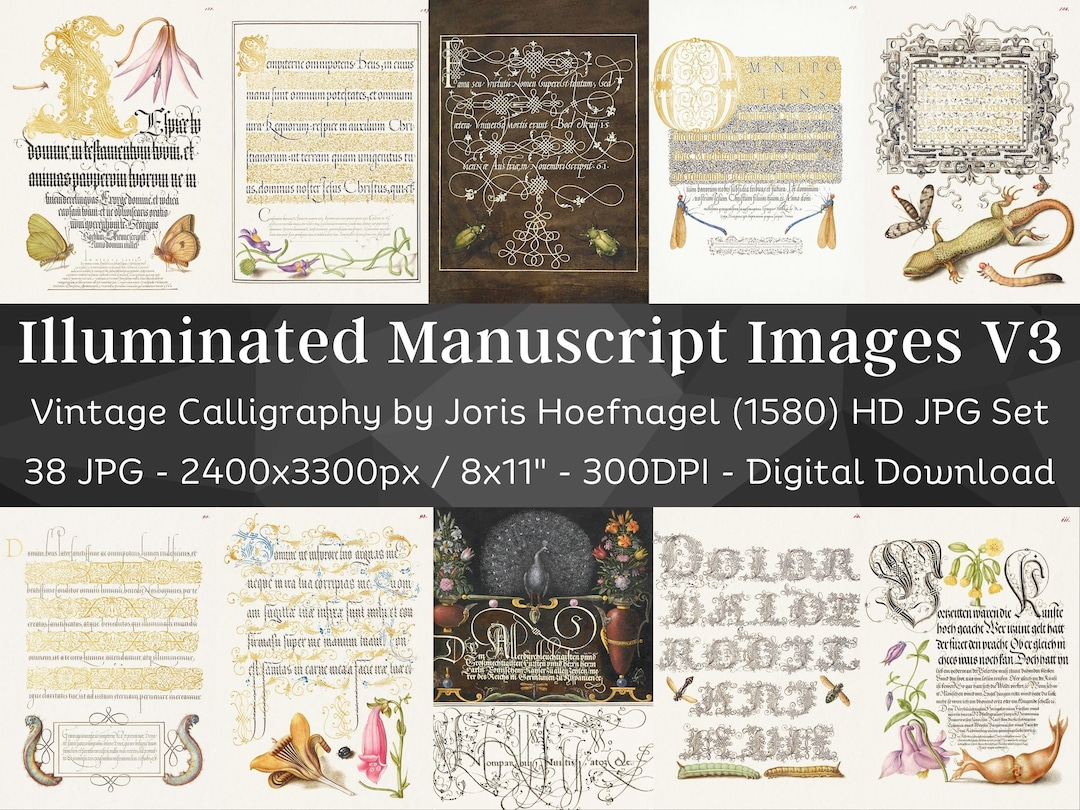Illuminated Manuscripts Bundle 3 | 38 Medieval Letters Codex Paper ...