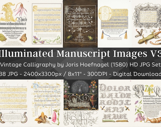 Illuminated Manuscript | Letter R Initial With Classic Flourish ...